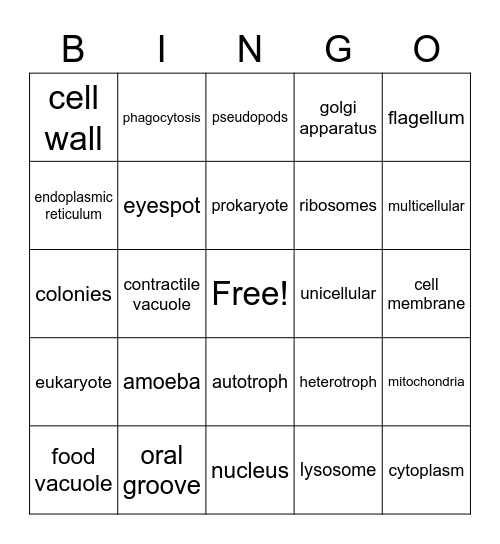 Protist and Cell Vocabulary Bingo Card
