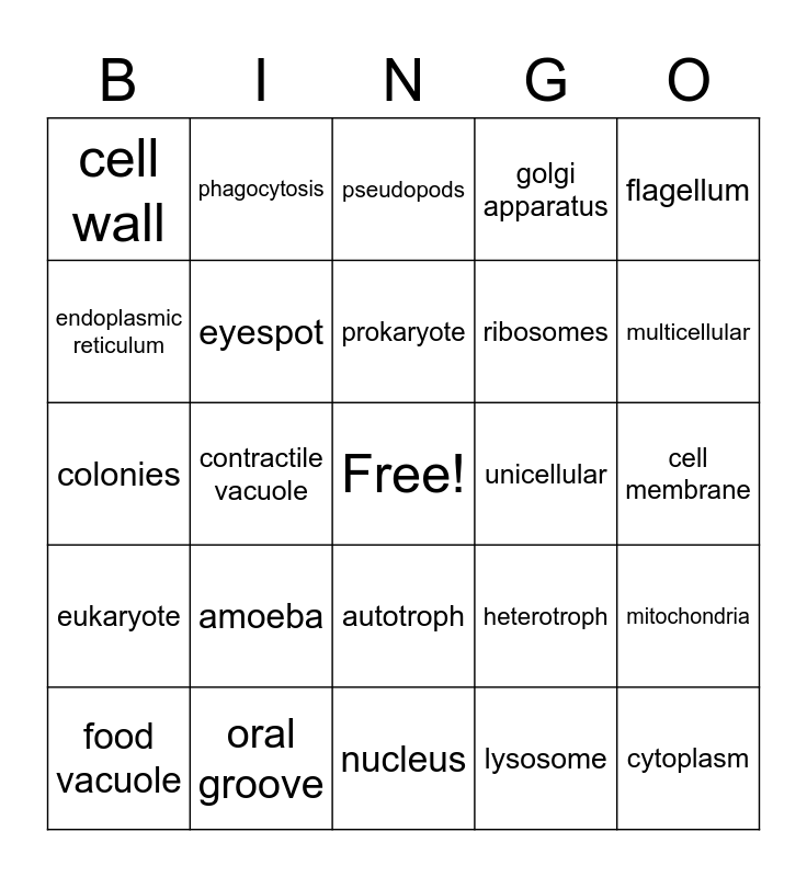 Protist and Cell Vocabulary Bingo Card