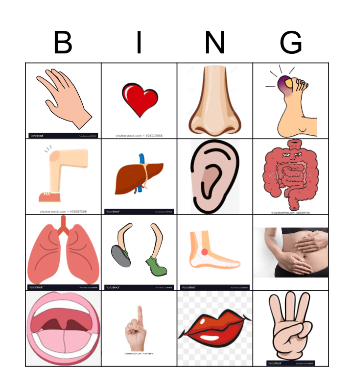 El Cuerpo Bingo Card