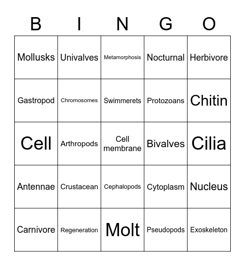 6th science review chapter 2 Bingo Card