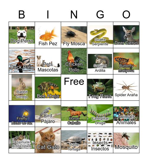 Animals/Insects Bingo Card