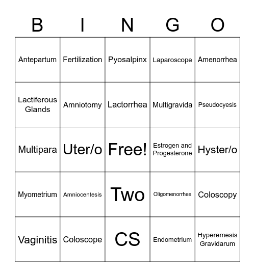 Reproductive System Bingo Card