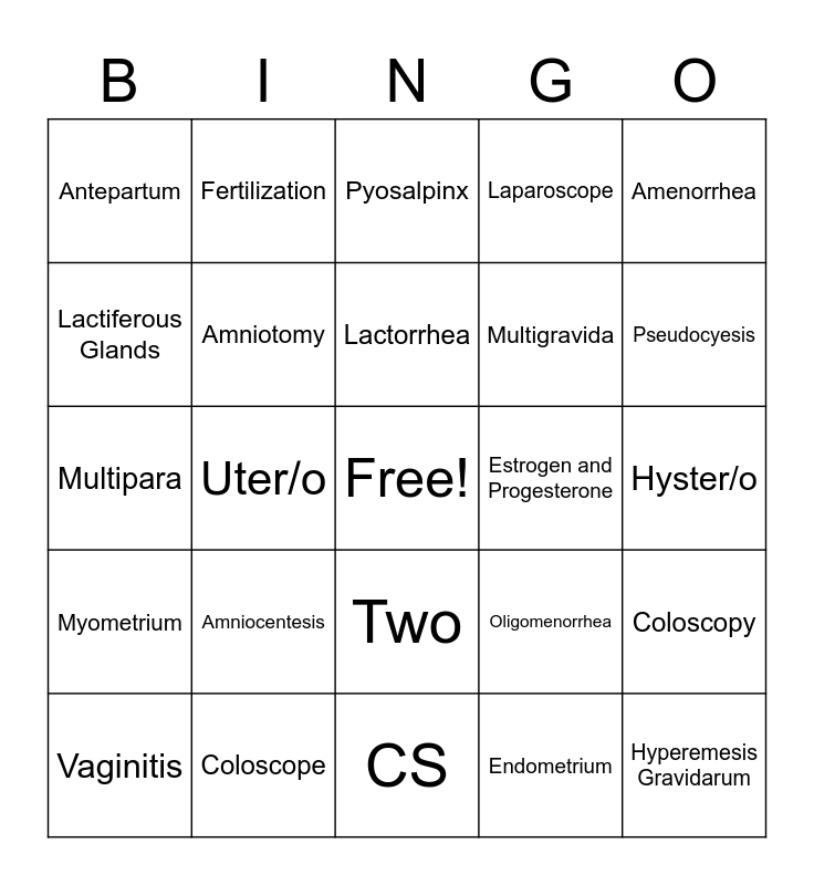 Reproductive System Bingo Card