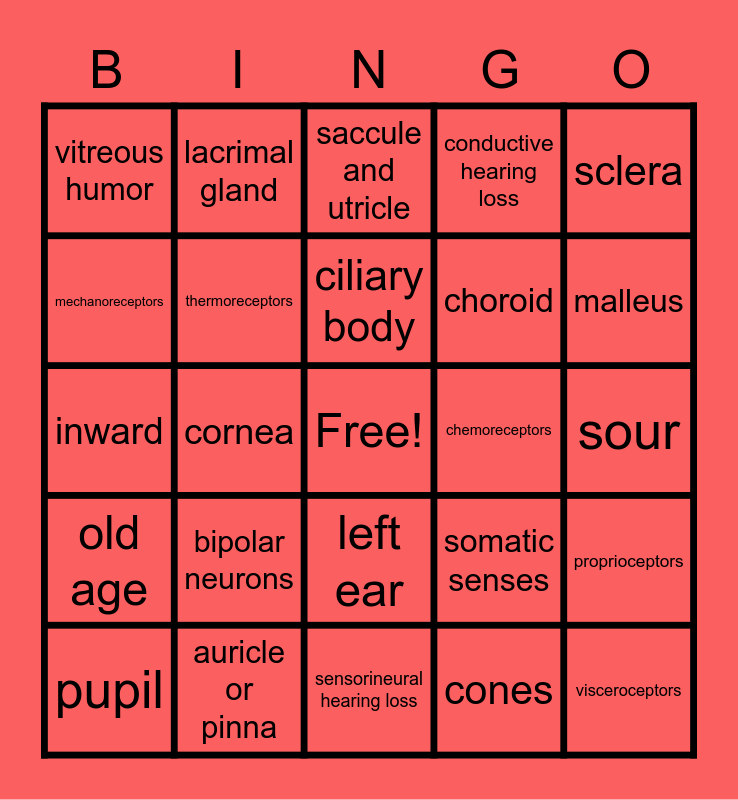 special senses Bingo Card