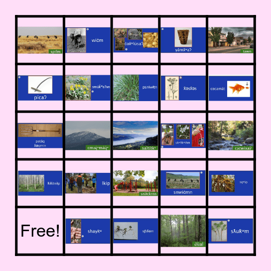 nselxcin UNIT 8 Bingo Card