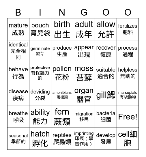 Life Cycles Bingo Card