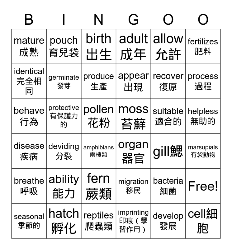 Life Cycles Bingo Card