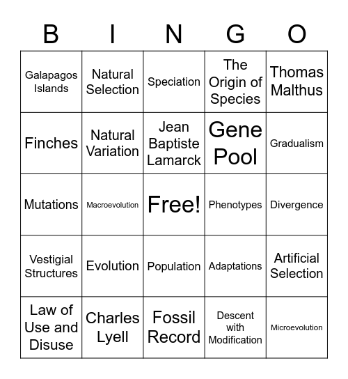 Evolution Bingo Card