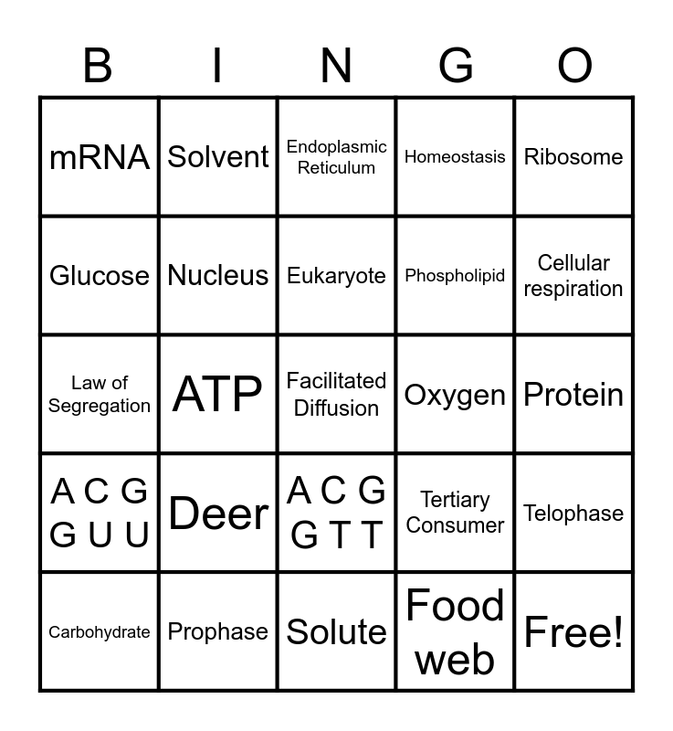 Biology EOC Review Bingo #1 Bingo Card