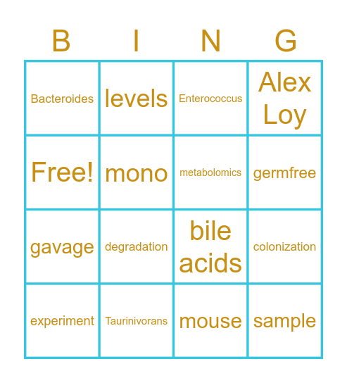 Round 2 Bingo Card