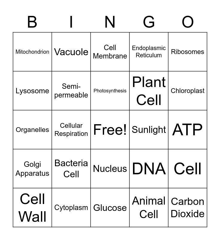 Cell Structure & Function Bingo Card