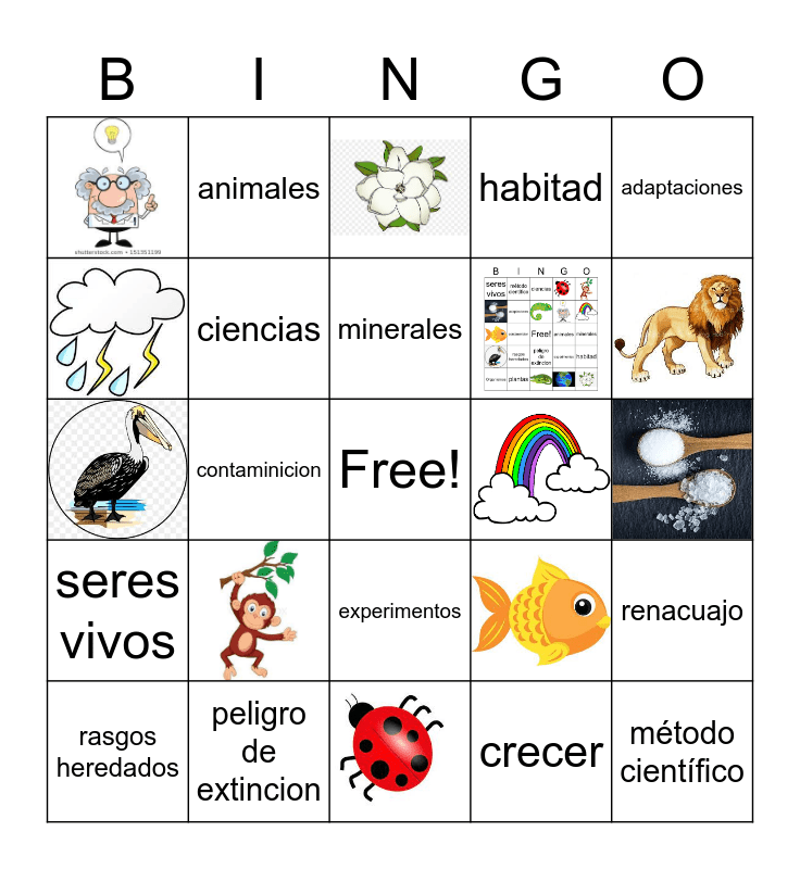 Ciencias Bingo Card