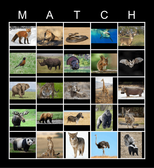 Wildlife Bingo Card