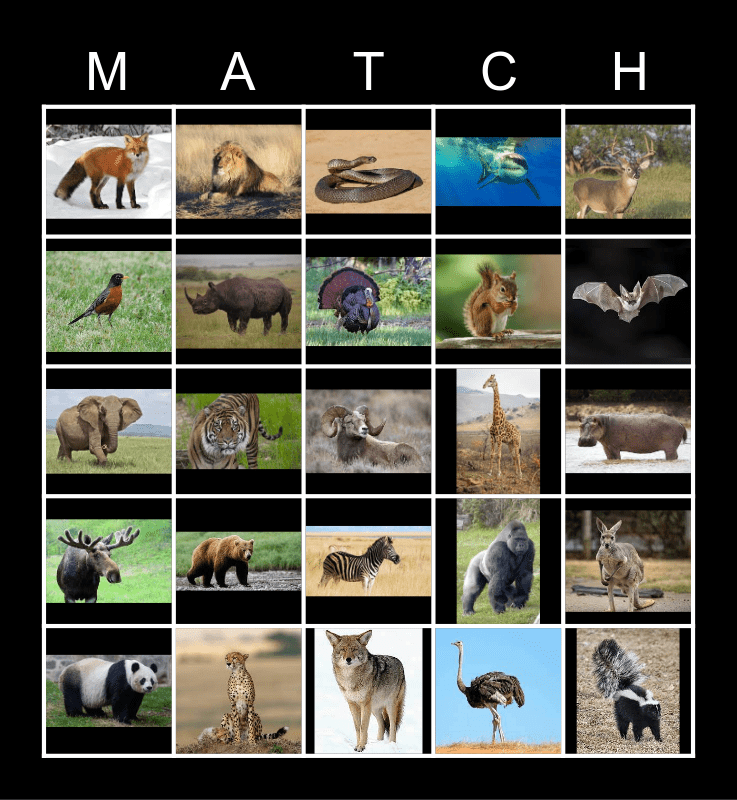 Wildlife Bingo Card