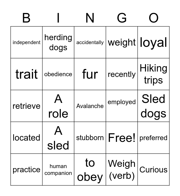 Dogs vocabulary 2 Bingo Card