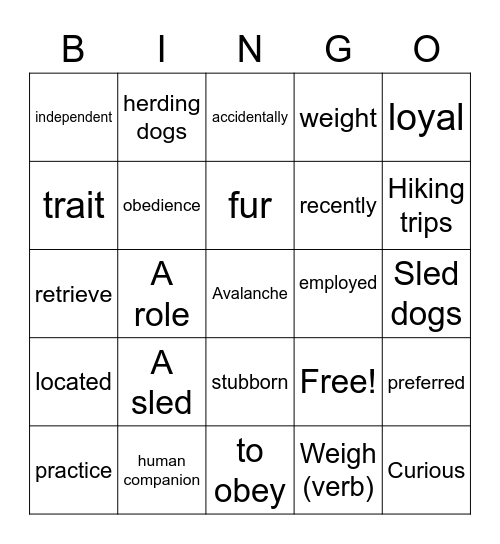Dogs vocabulary 2 Bingo Card