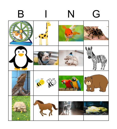 Tiere Bingo Card