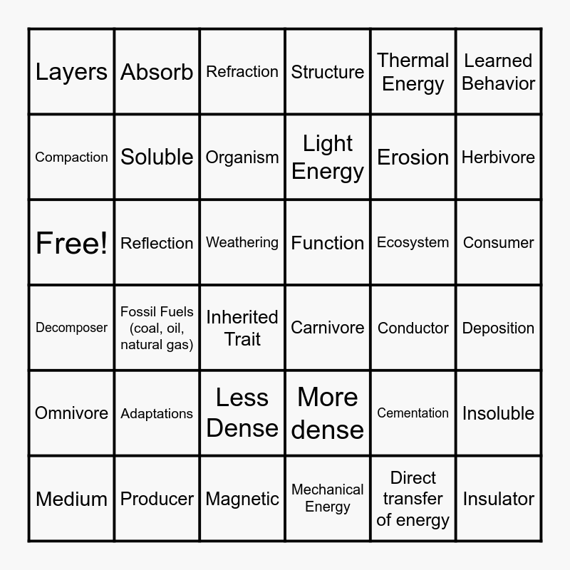 STAAR Science Vocab Review Bingo Card