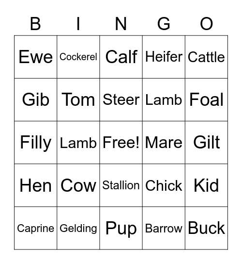 Animal Classifications Bingo Card