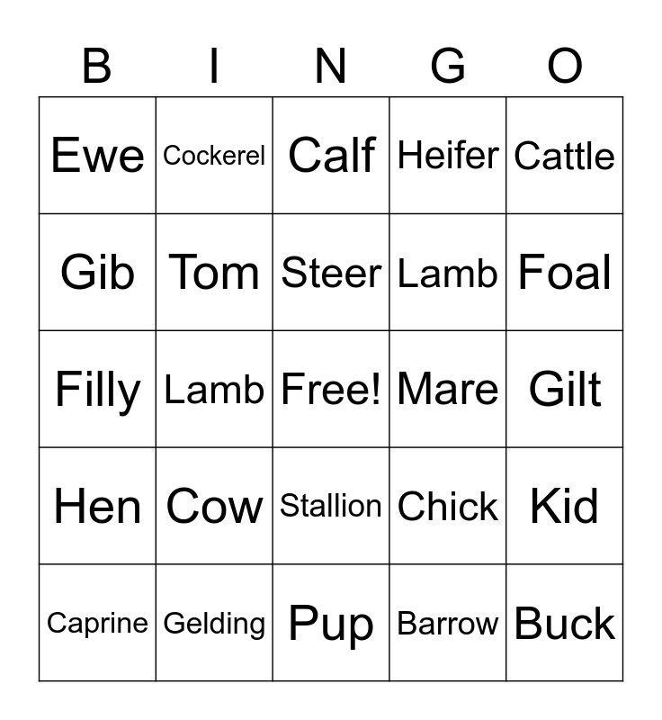 Animal Classifications Bingo Card