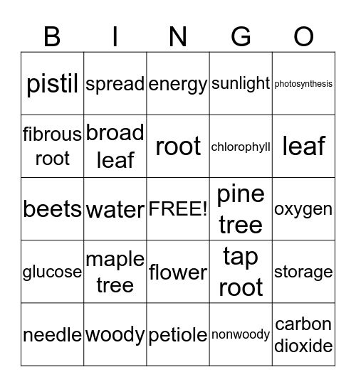 Science: Plants Bingo Card