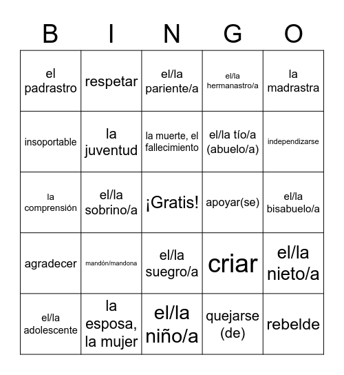 Imagina Lección 4 Bingo Card