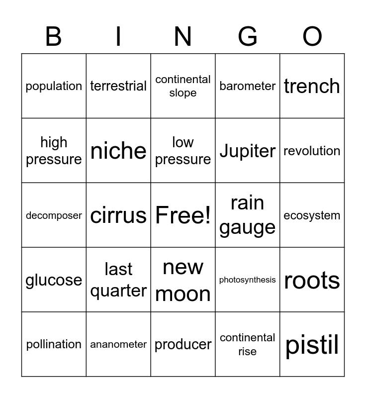 4th Grade Science Review Bingo Card