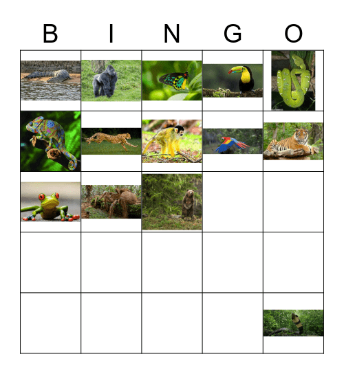 Rainforest Animals Bingo Card