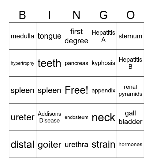 Bingo Review Bingo Card