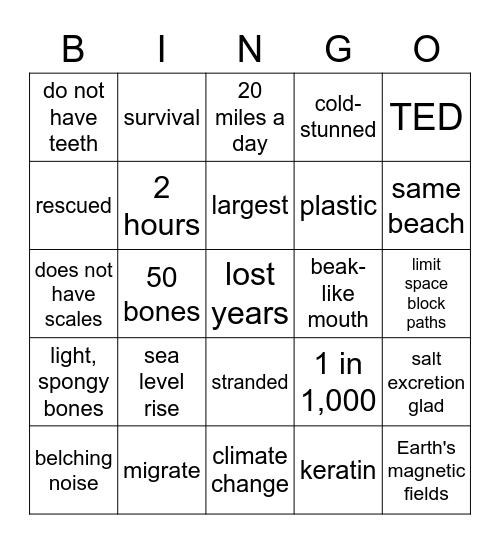 Sea Turtle Bingo Card
