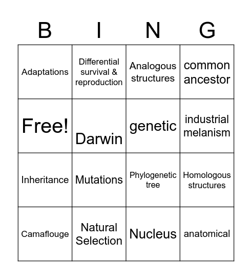 Evolution Test Review! Bingo Card