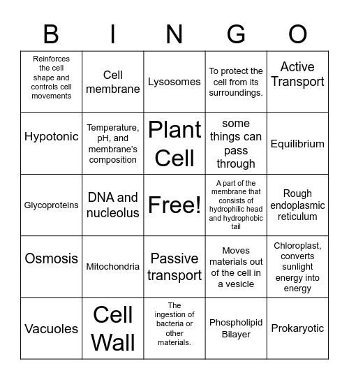 Bio Bingo #1 Bingo Card