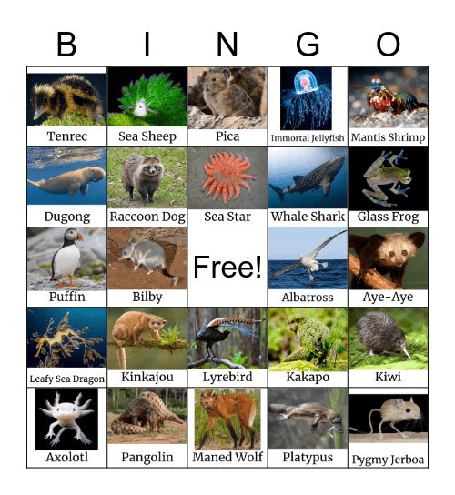 Exploring! Bingo Card