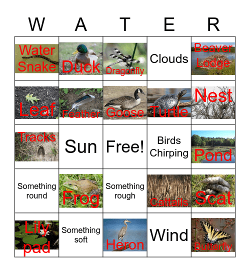 Water Scavenger Hunt Bingo Card