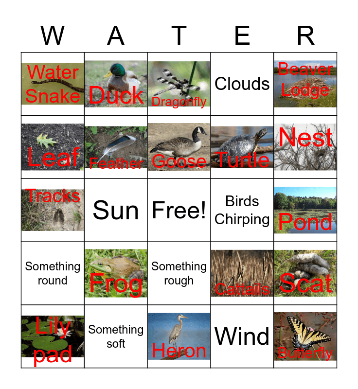 Water Scavenger Hunt Bingo Card