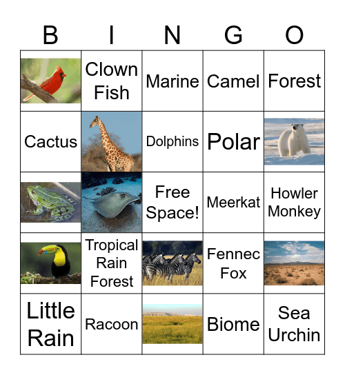 Biomes Bingo Card