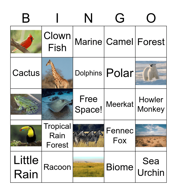 Biomes Bingo Card