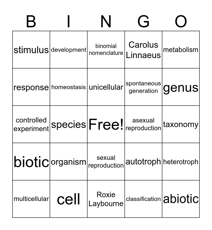 Characteristics of Life Bingo Card