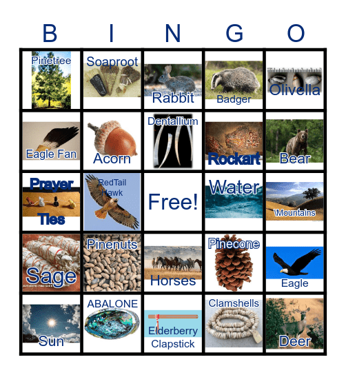 Our Natural World Bingo Card