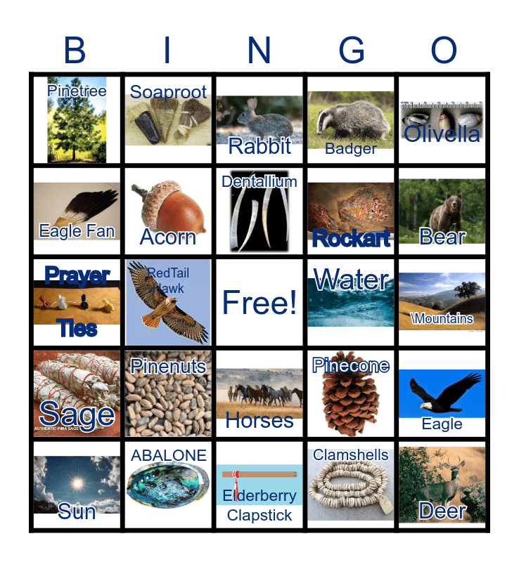 Our Natural World Bingo Card