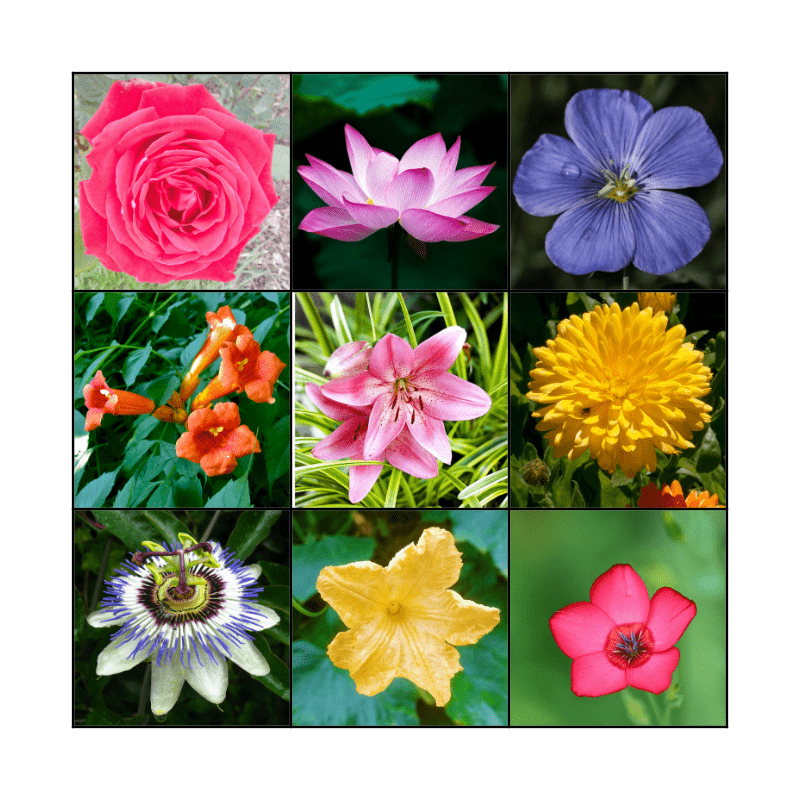 Flower Flip Bingo Card
