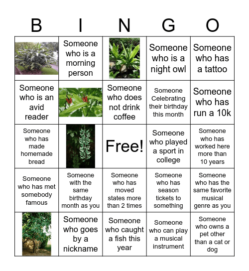 Rec Sports Bingo Card