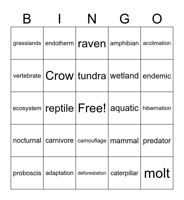 Summer Learning Adventure Bingo Card