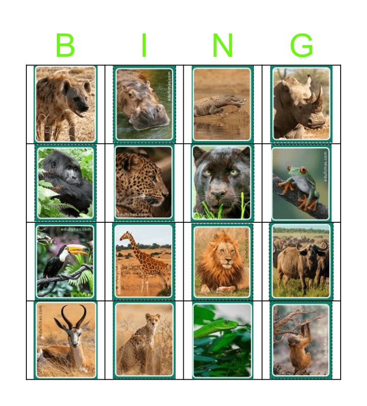 Animales de La Selva BINGO Card