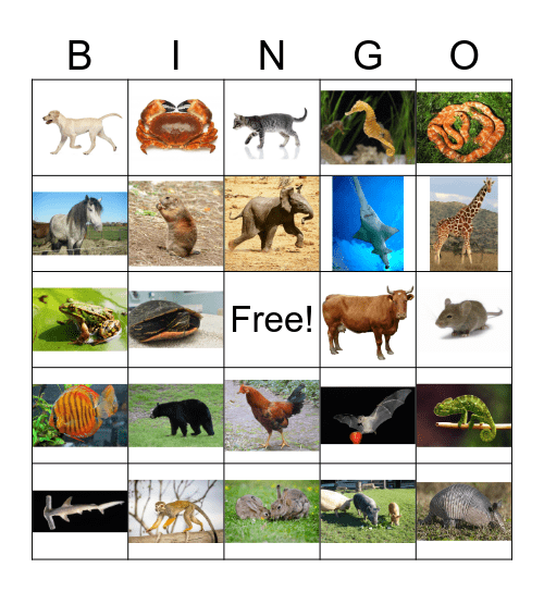 Animal Bingo Card