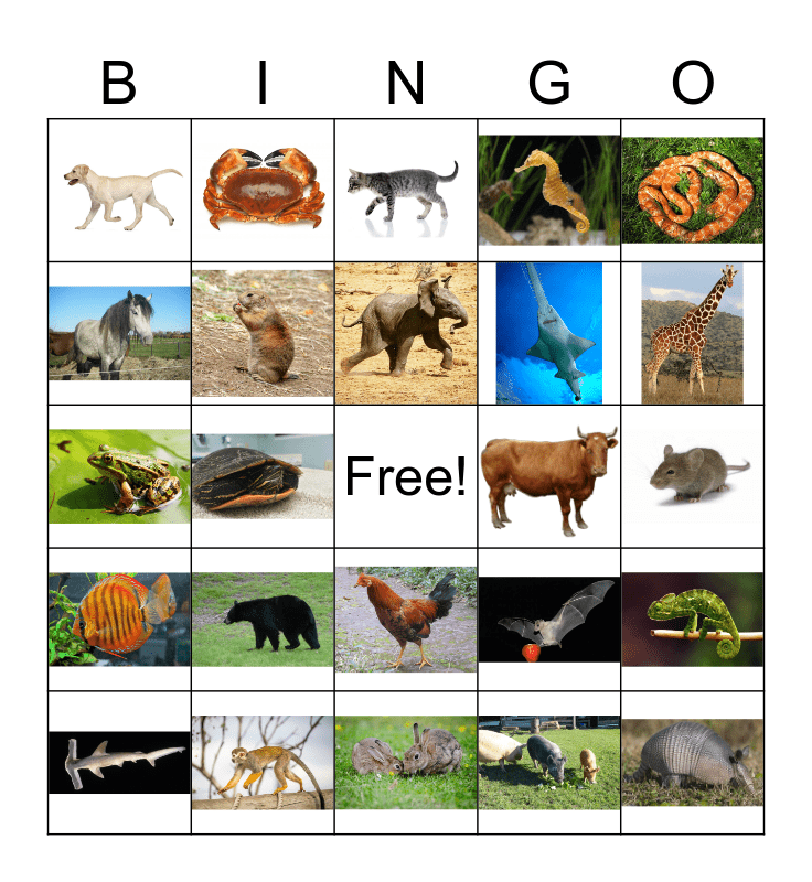 Animal Bingo Card