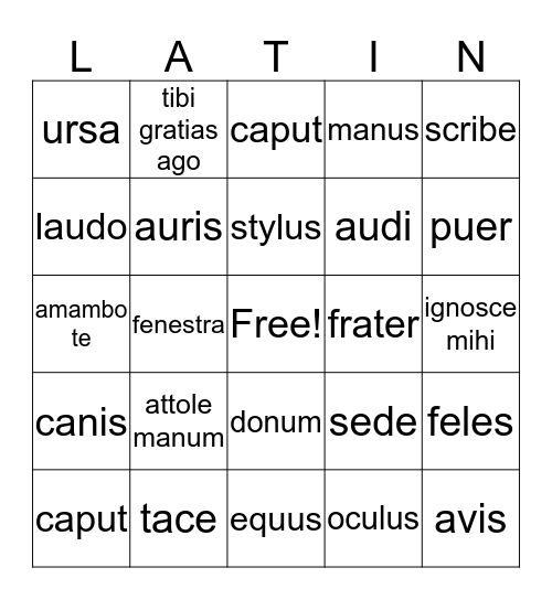 Latin Bingo Card
