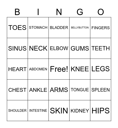 Anatomy BINGO Card