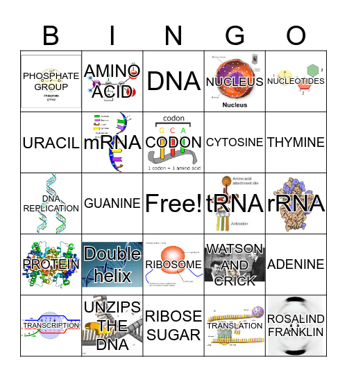DNA/RNA BINGO Card