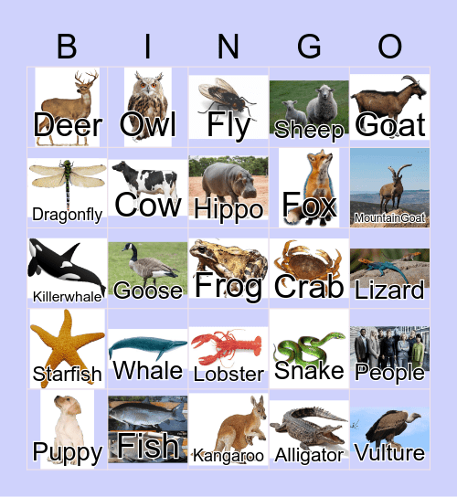 Animals Bingo Card